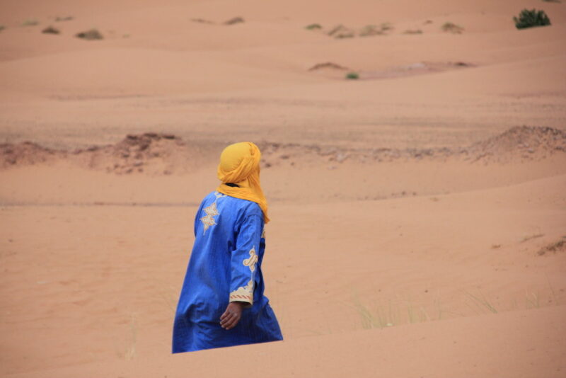 Titrit, votre Bee-Nome au Maroc - Bee Nomad
