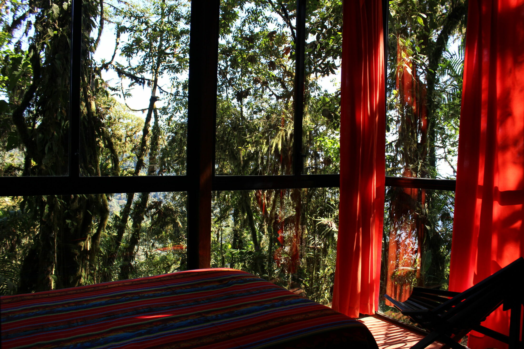 Mindo Lindo, le paradis des nomades digitaux en Equateur