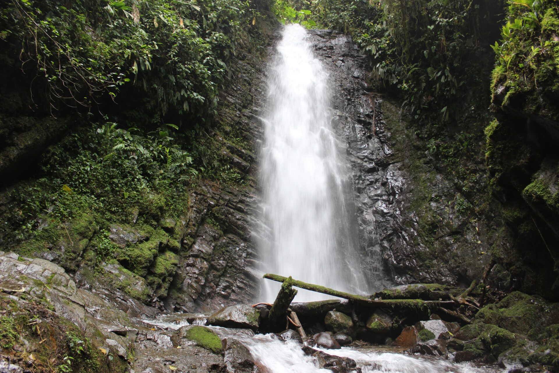 Mindo Lindo, le paradis des nomades digitaux en Equateur